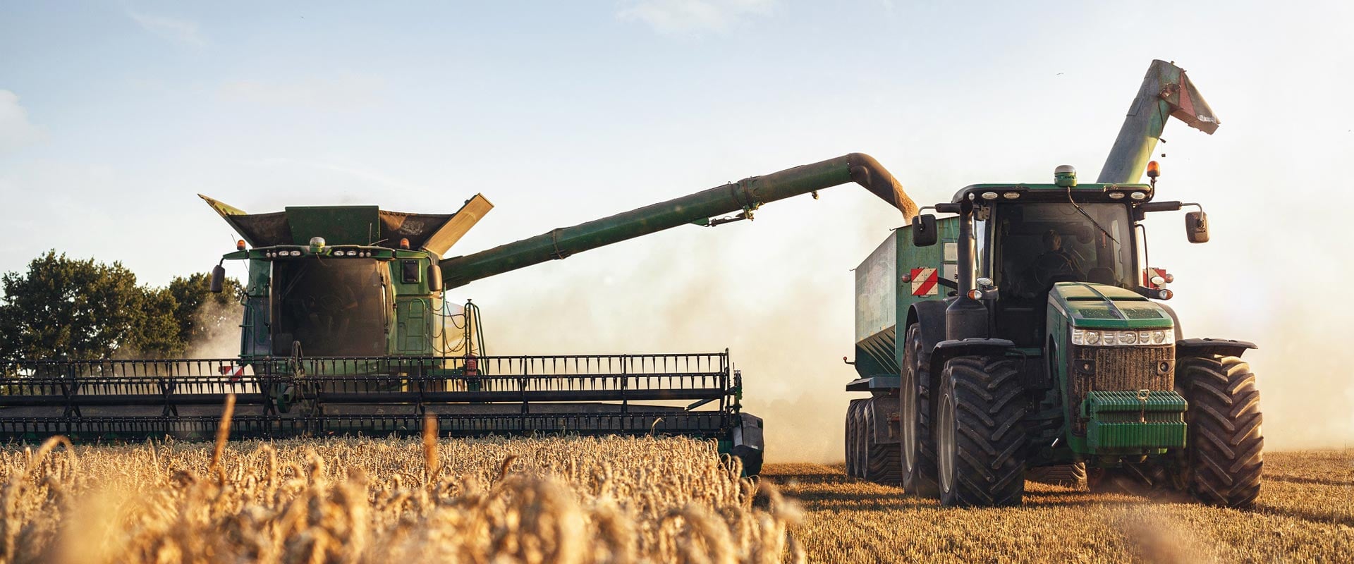 Agri-food – Sector report – United Kingdom – July 2024 | Allianz Trade UK