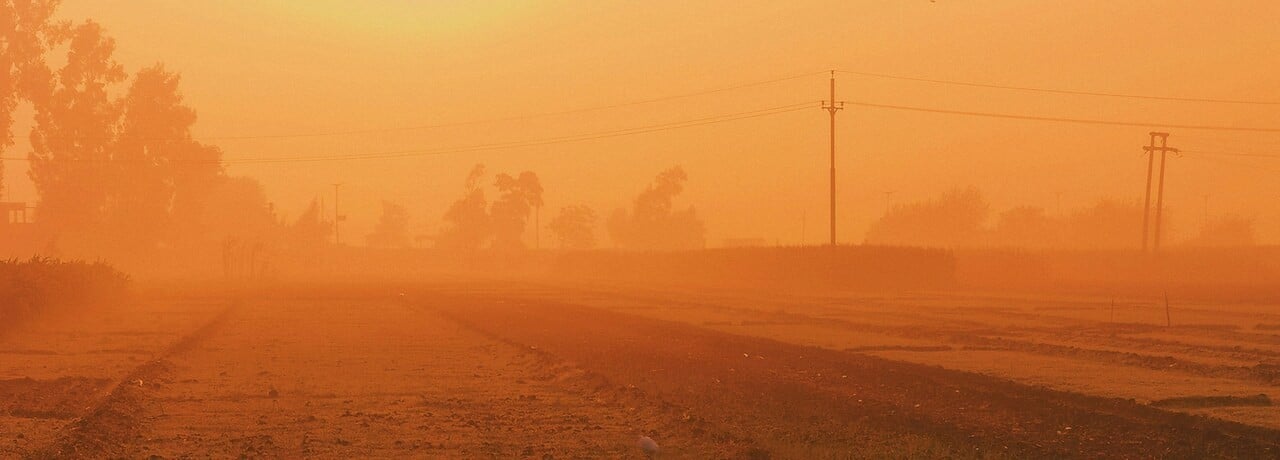 Too hot to grow The economic costs of extreme heat