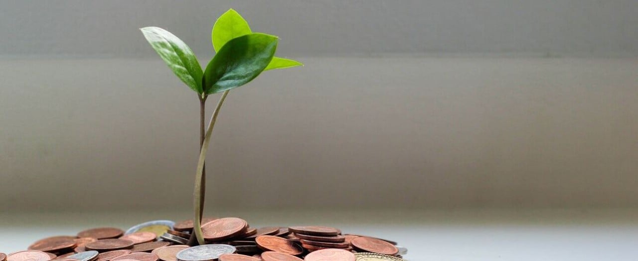 Toasted, roasted and grilled? Walking the talk on green monetary policy